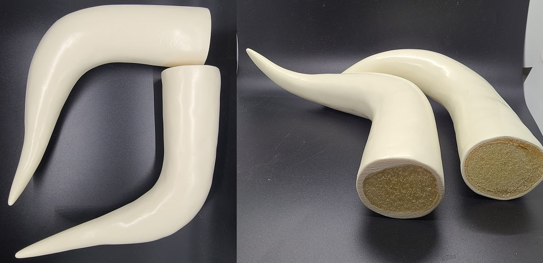Plastic Opaque Small 'El Toro' Bull Horns – DreamVision Creations