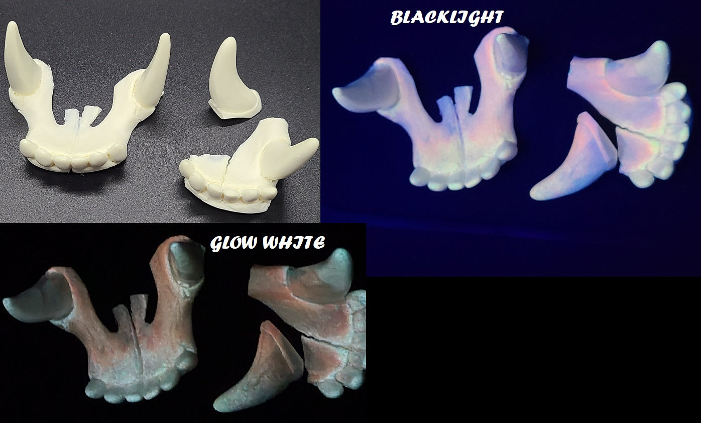 Replacement Glow in the Dark Skeletal K9 Teeth – DreamVision Creations