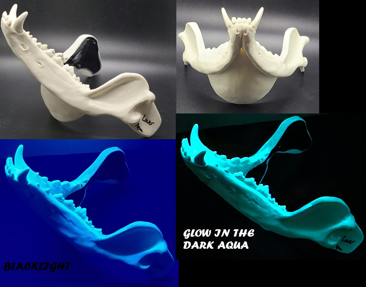 Glow in the Dark Skeletal K9 Lower Jaw Mask – DreamVision Creations