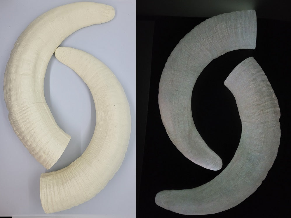 Plastic Glow in the Dark Large Red Sheep Horns – DreamVision Creations