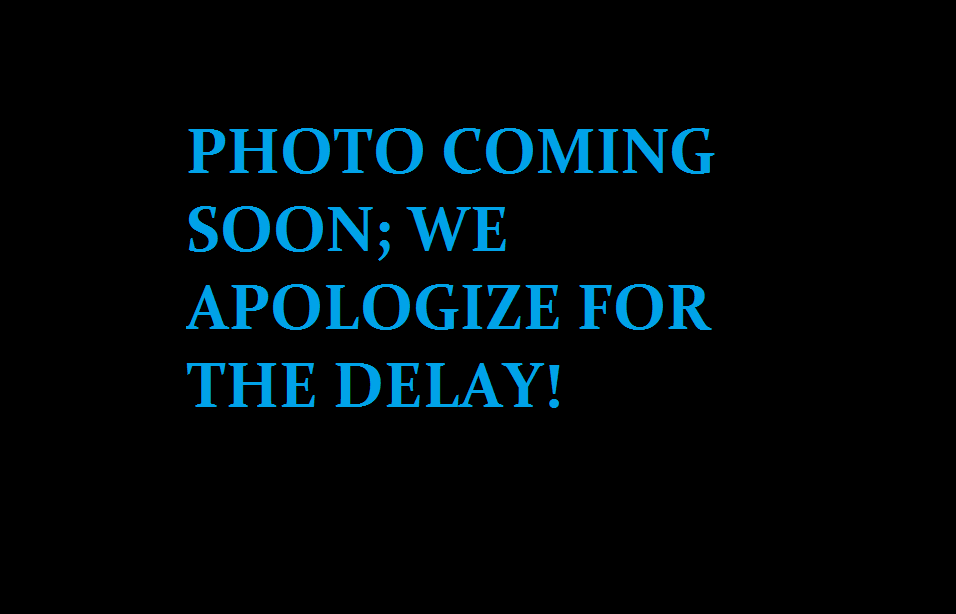 Foam Toony Fox Kit – DreamVision Creations