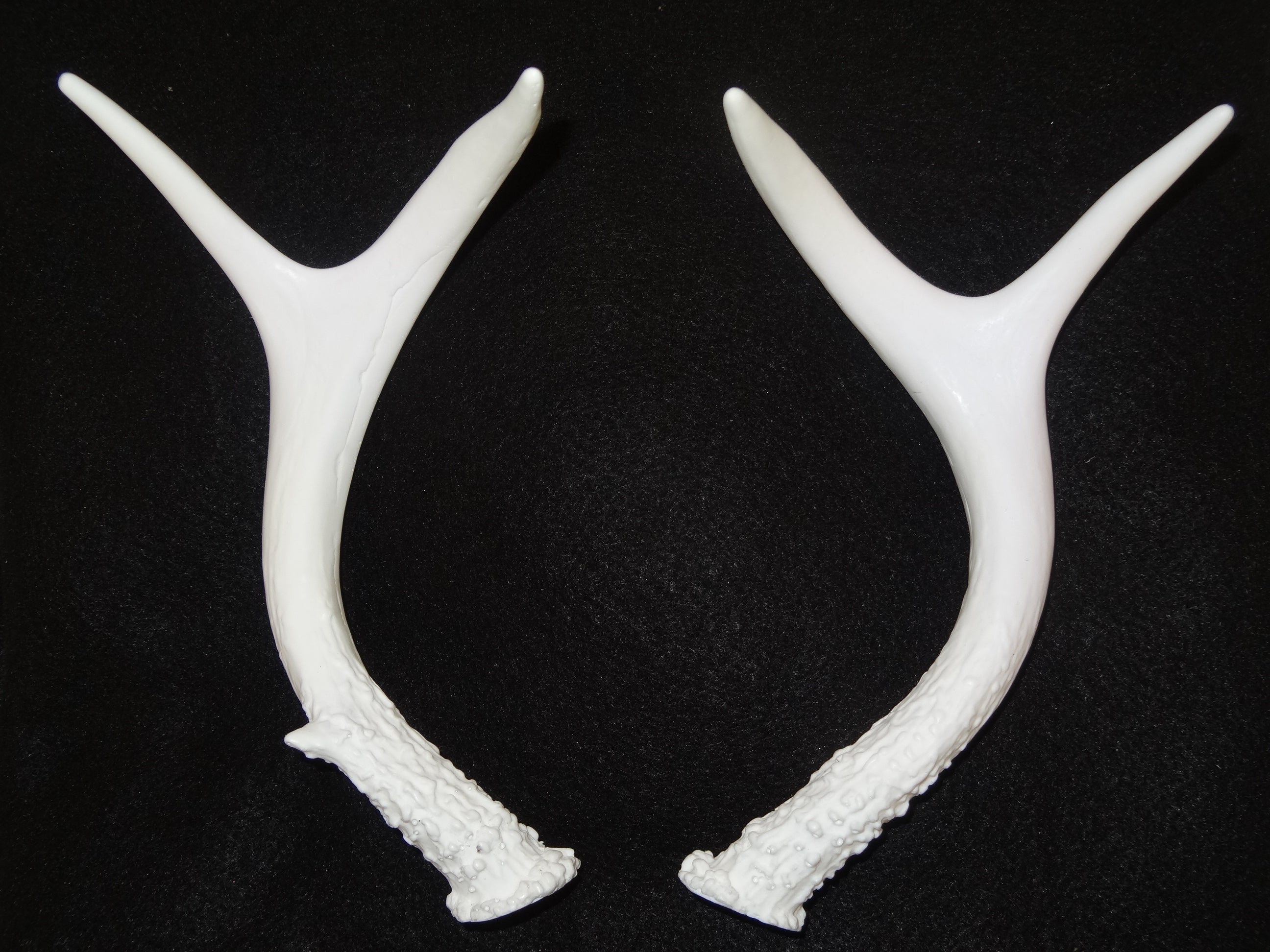 Plastic Opaque Four Point Deer Antlers – DreamVision Creations