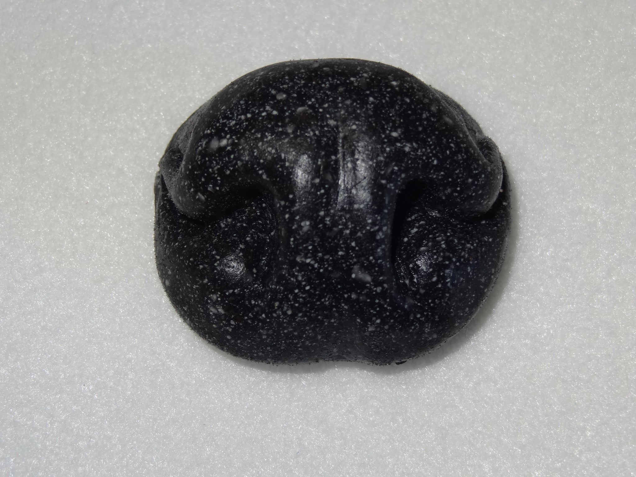 Silicone Granite Skunk Nose – DreamVision Creations
